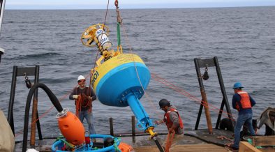 An Underwater Microphone in the Pacific Ocean is Helping Prevent Whale ...