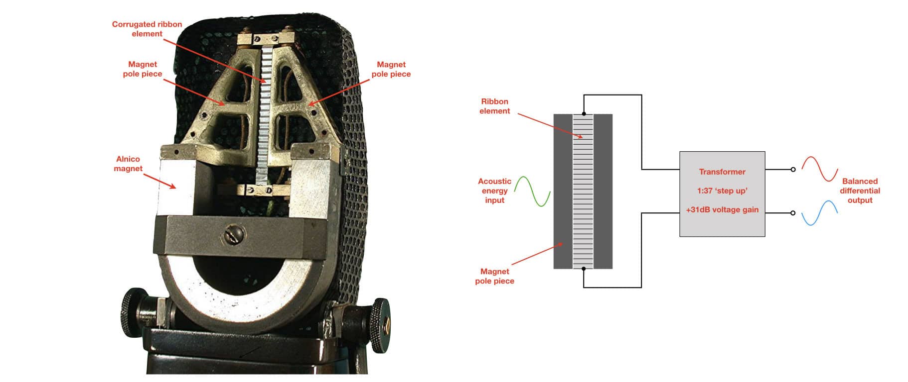 How Do Ribbon Microphones Work? - Shout4Music