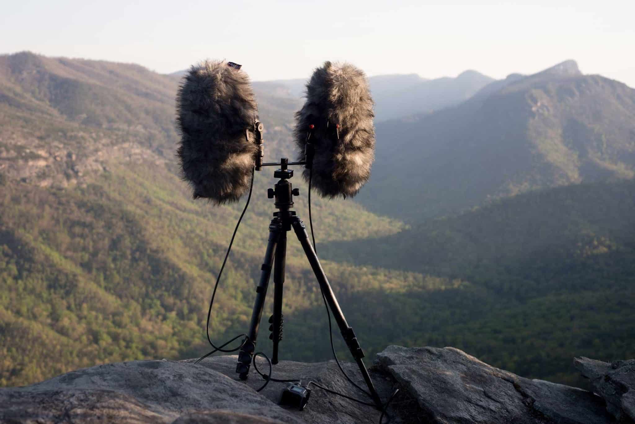 A Guide to Stereo Recording in Field and Nature Soundscapes - Shout4Music